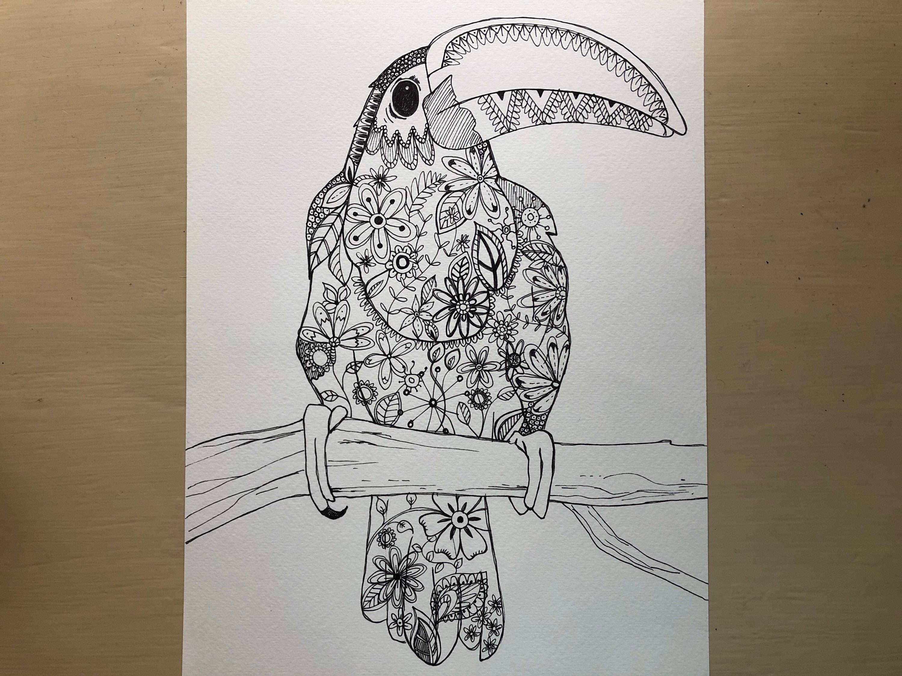 Digital Download Zentangle Colouring Sheet, Mindfulness, Toucan - Etsy