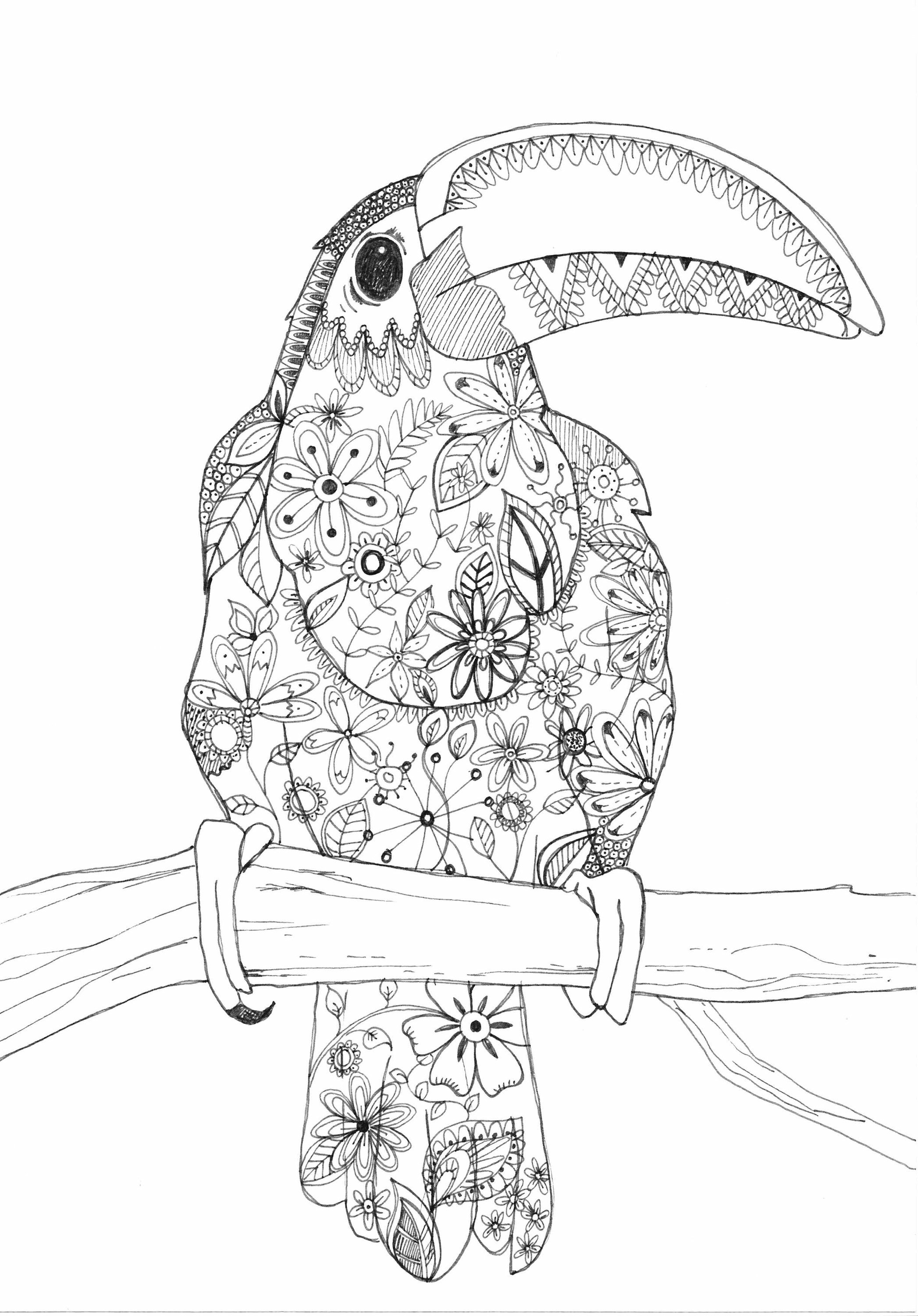 Digital Download Zentangle Colouring Sheet, Mindfulness, Toucan - Etsy UK
