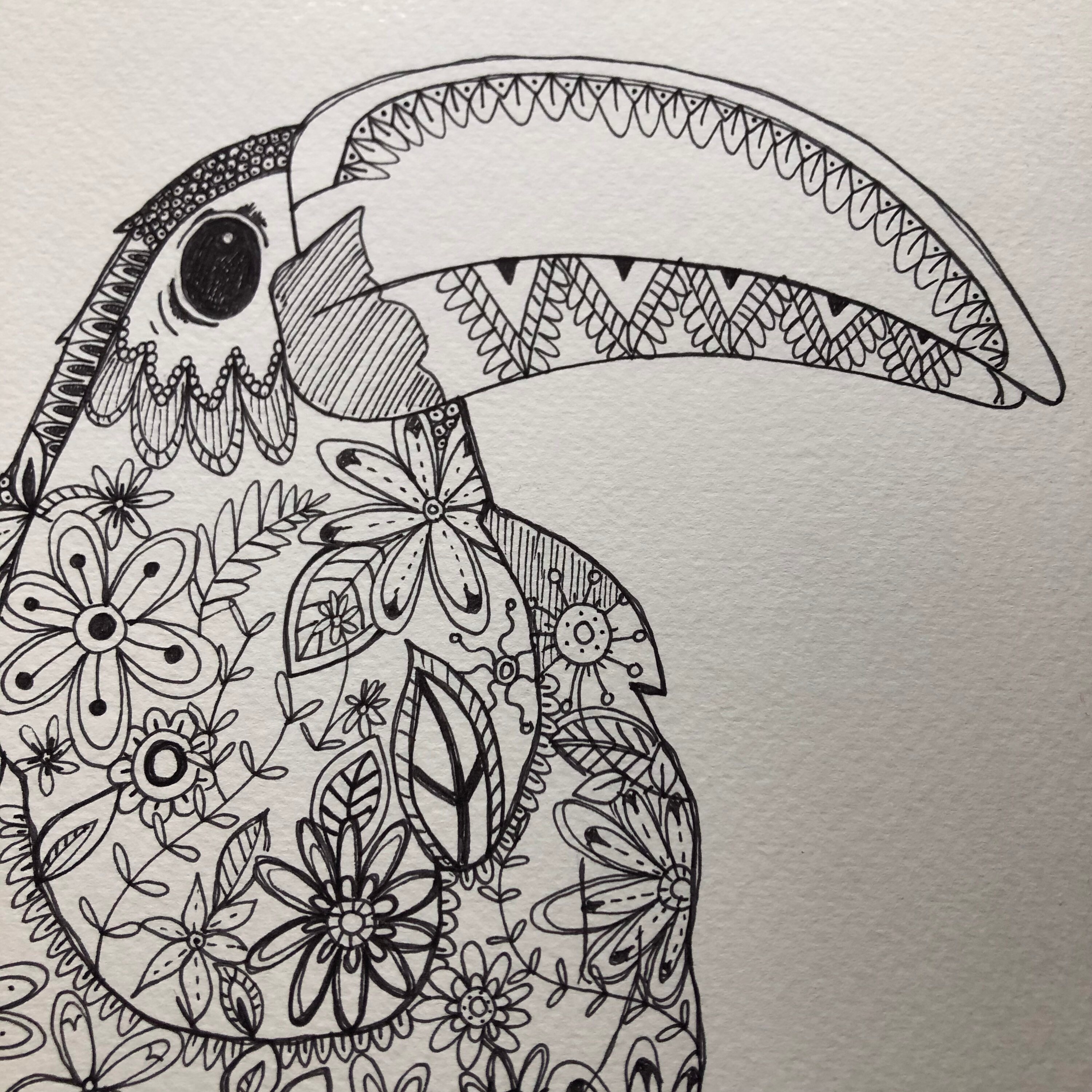 Digital Download Zentangle Colouring Sheet, Mindfulness, Toucan - Etsy