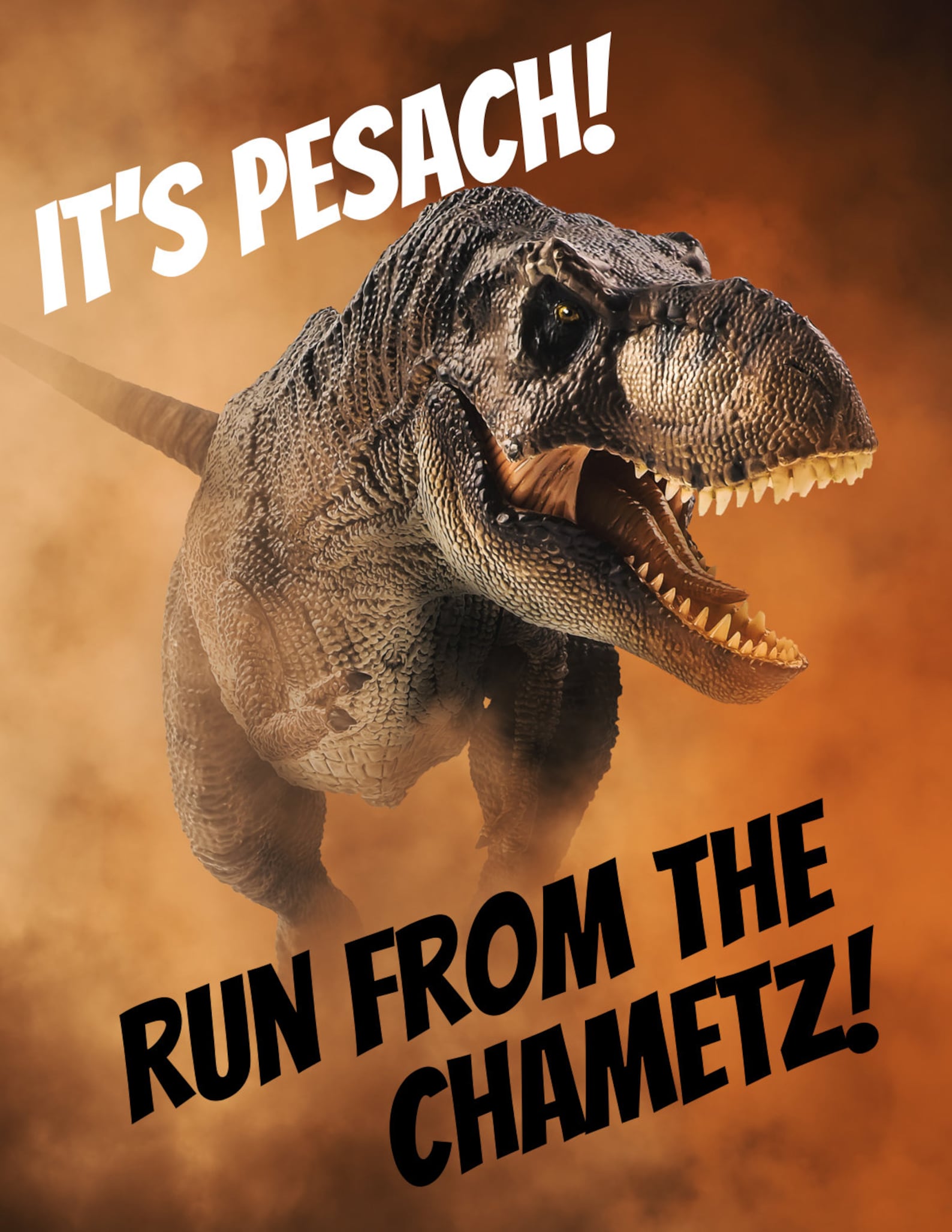 Passover Printable Signs, Printable Pesach Signs, Religious Digital ...