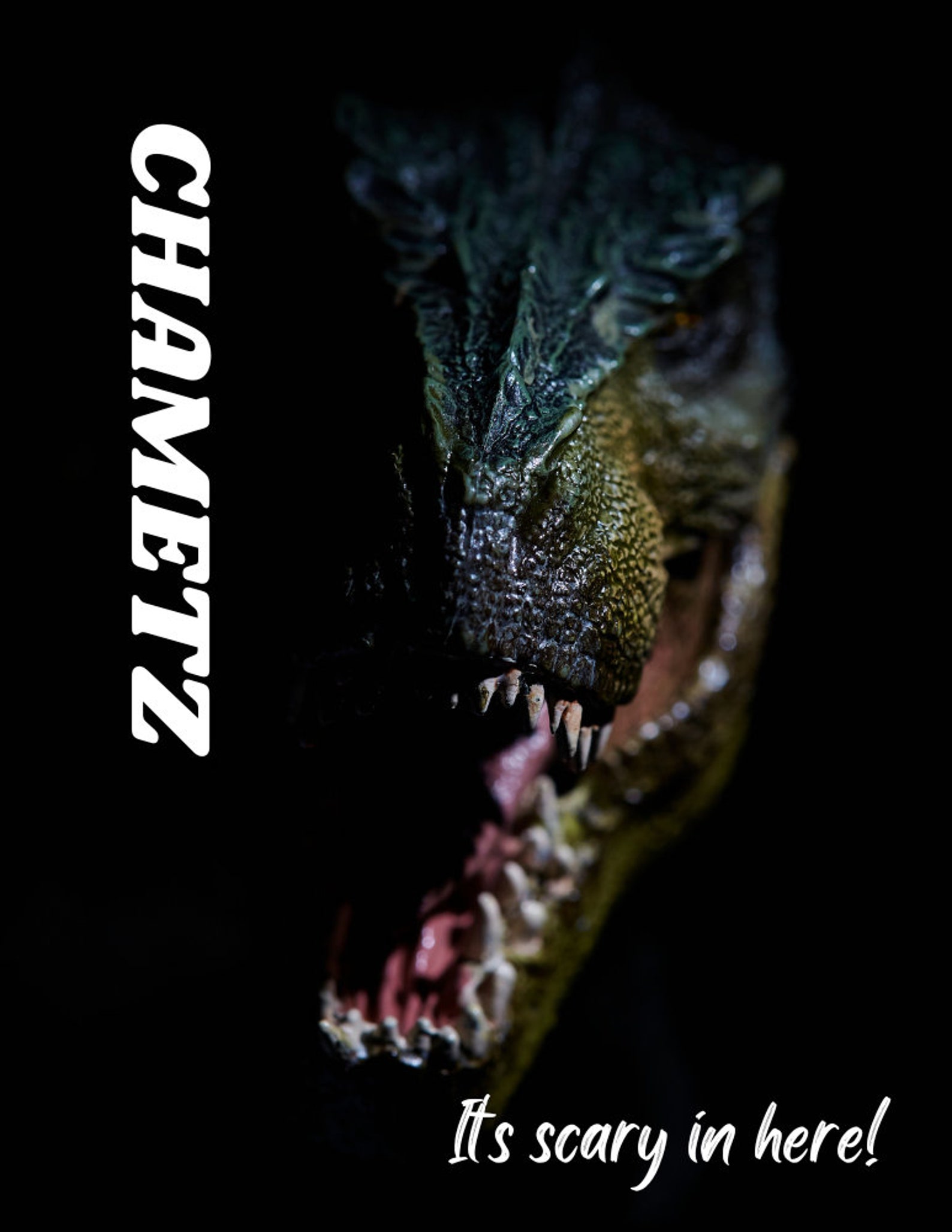 Passover Printable Signs, Printable Pesach Signs, Religious Digital ...