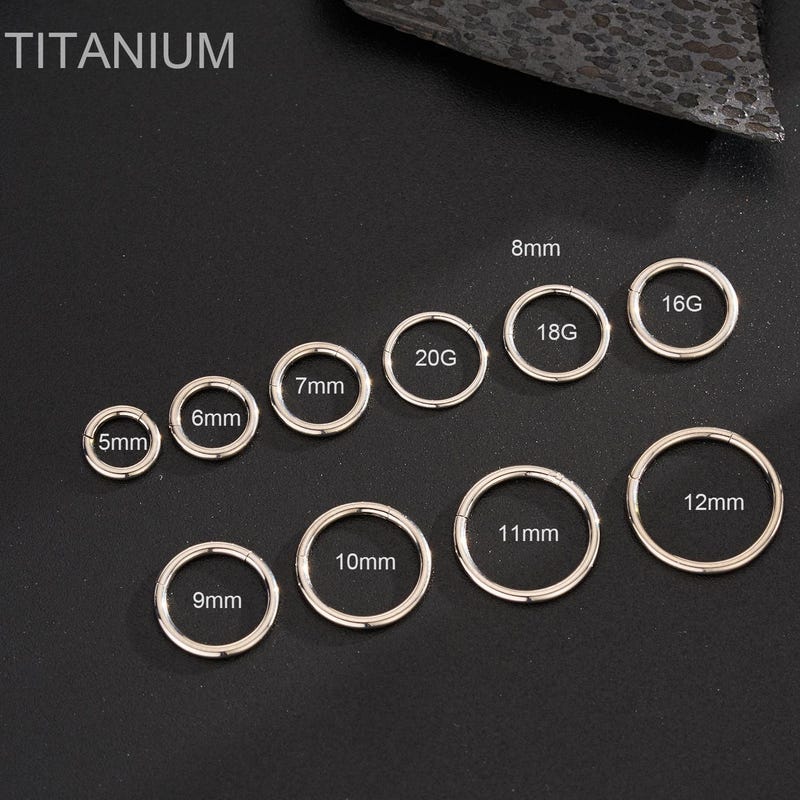 Titanium 16g Nose Ring - Etsy