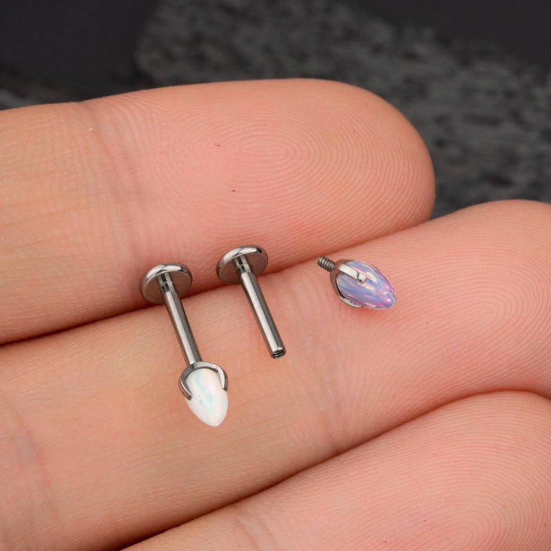 Angel Bite Piercings - Etsy