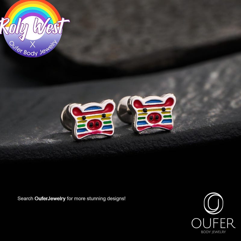 Rainbow Pig Earrings - Etsy