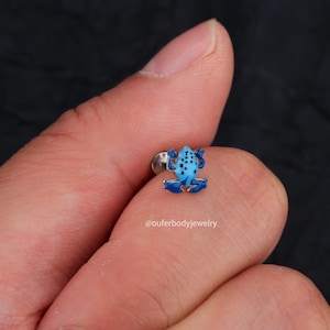 16G Tiny Frog Internally Threaded Cartilage Stud/daith Studs/tragus ...