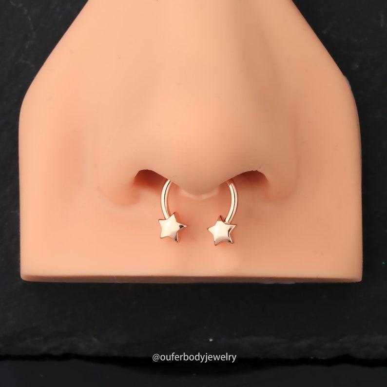 16G Stardust Septum Ring/daith Earring/septum - Etsy