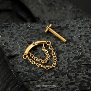 16G Double Chain Drape/dangle CZ Hidden Helix Piercing/rook Earring ...