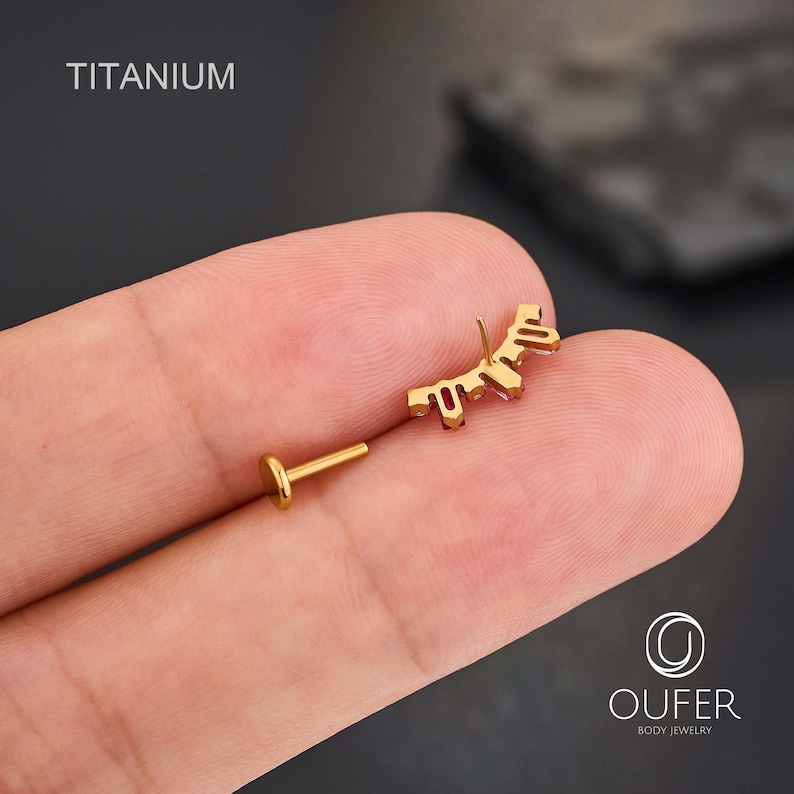 18G 6mm Titanium Pink CZ Climber Inner Conch Piercing– Threadless Push ...