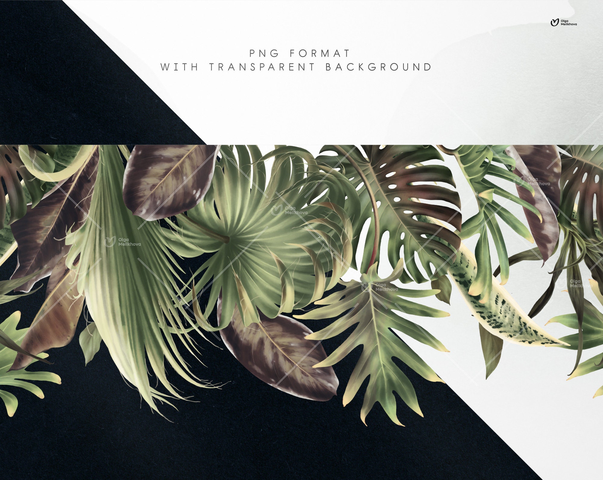 Tropical Border Greenery Foliage Border Green Leaves | Etsy