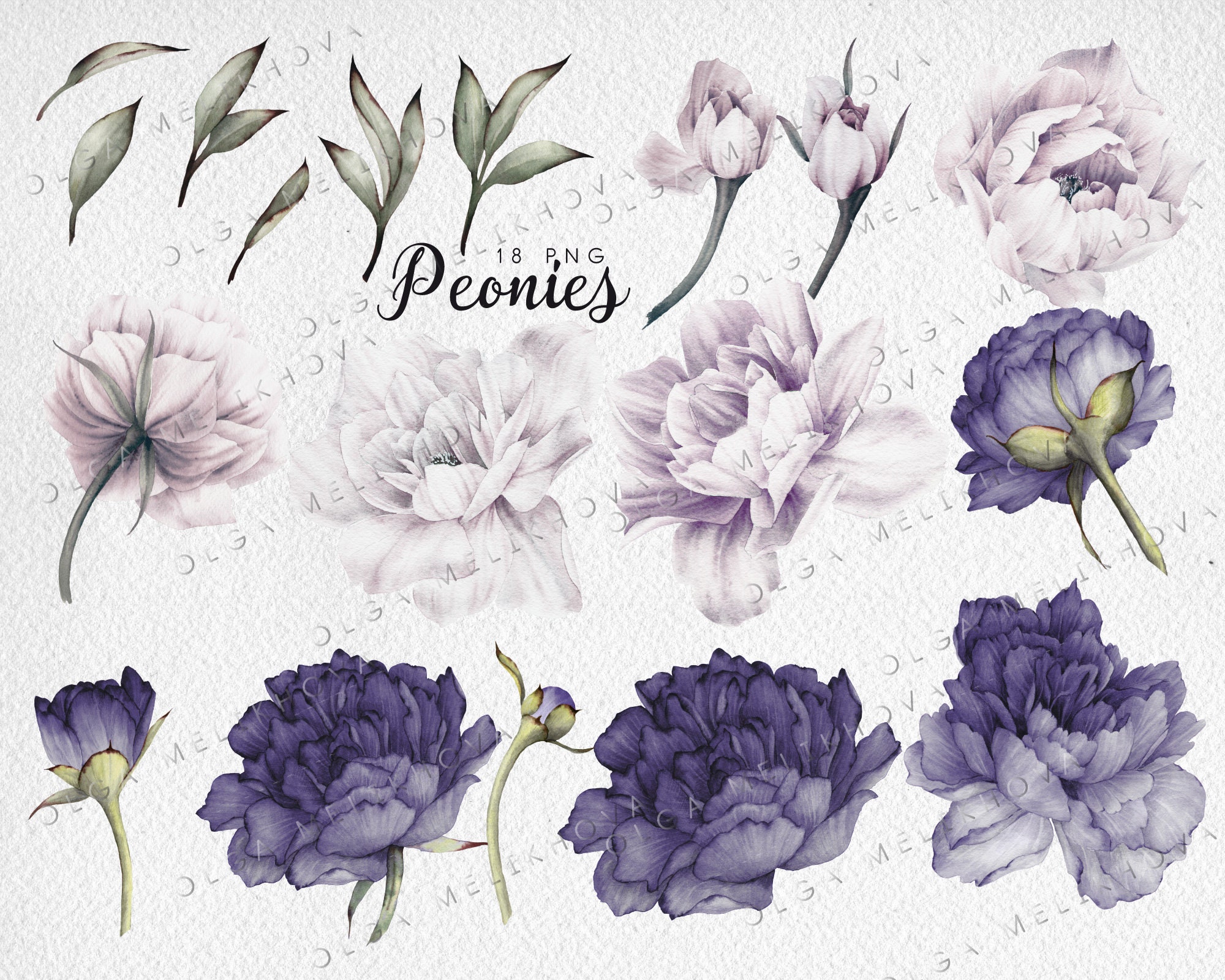 Blue Peonies. Watercolor Flower Clip Art Wedding Flowers - Etsy