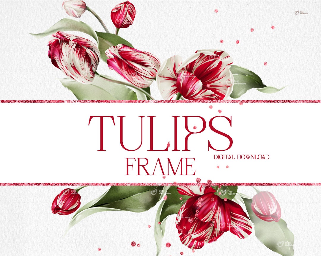 Tulips, Floral Frame, Red Flowers, Greeting Card, Watercolor Flowers ...