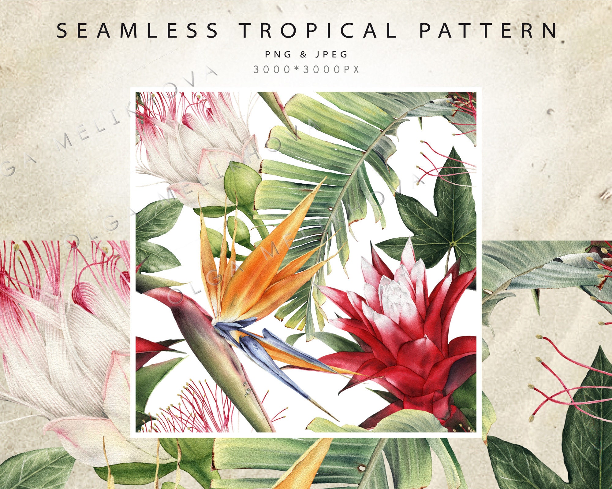 Seamless Tropical Pattern Watercolor Tropical Digital Paper - Etsy