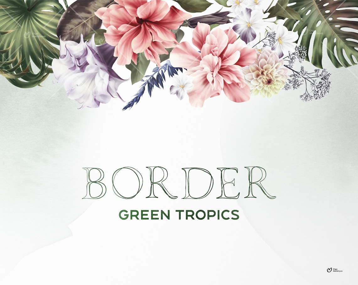 Tropical Border, Tropical Flowers Border, Green Leaves, Wedding Invite ...