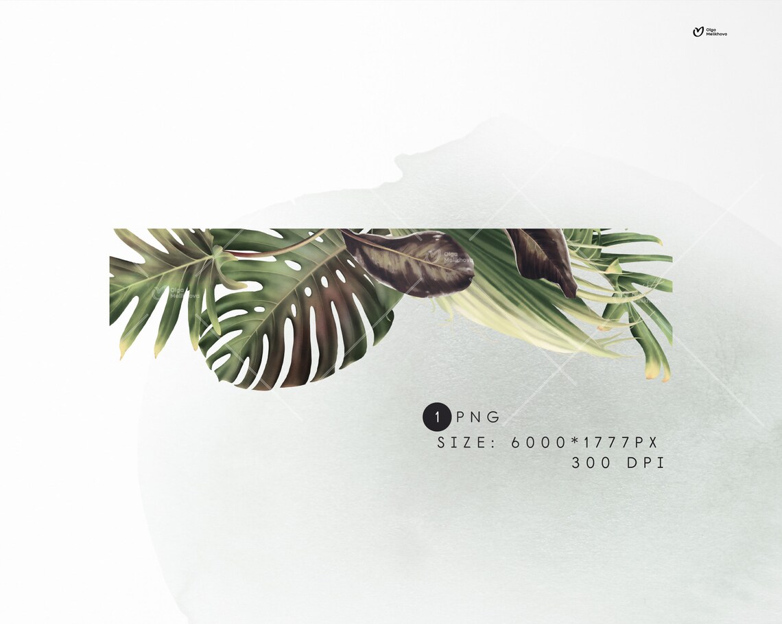 Tropical Border Exotic Foliage Border Tropical Leaves | Etsy