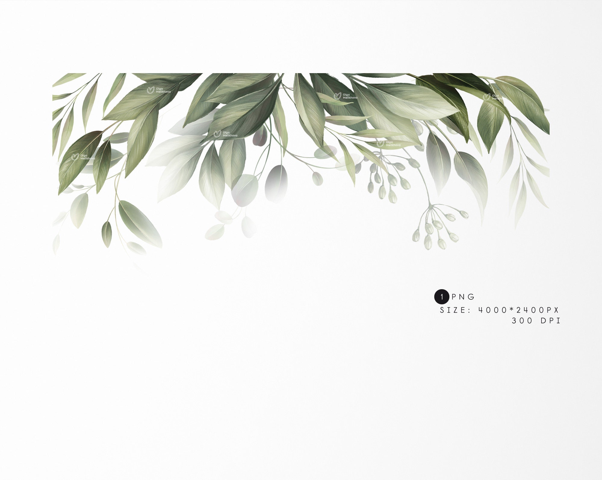 Floral Border Greenery Foliage Border Green Leaves Wedding - Etsy