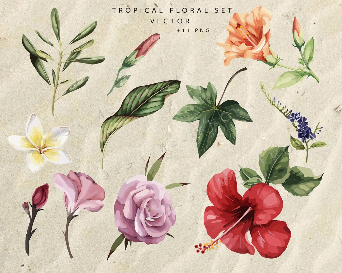 Tropical floral set Vector illustration Flowers and leaves | Etsy