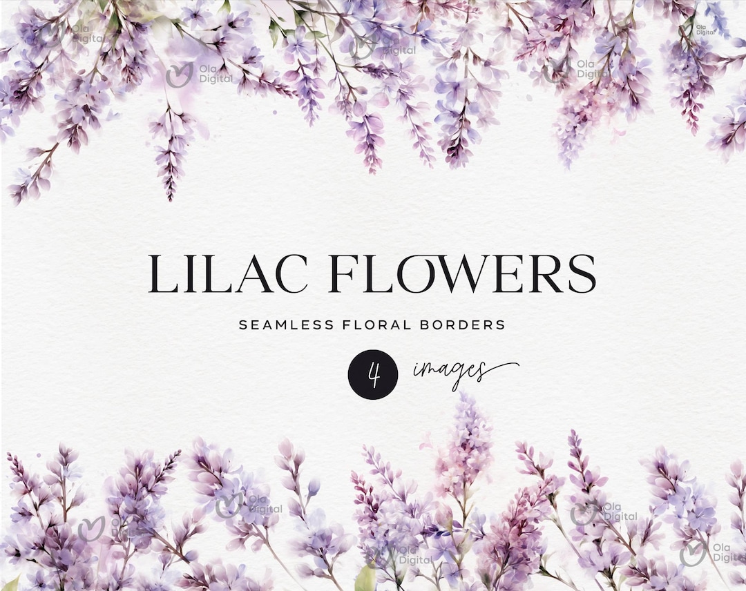 Lilac Flowers Seamless Borders, Watercolor Lavender, Floral Clipart ...