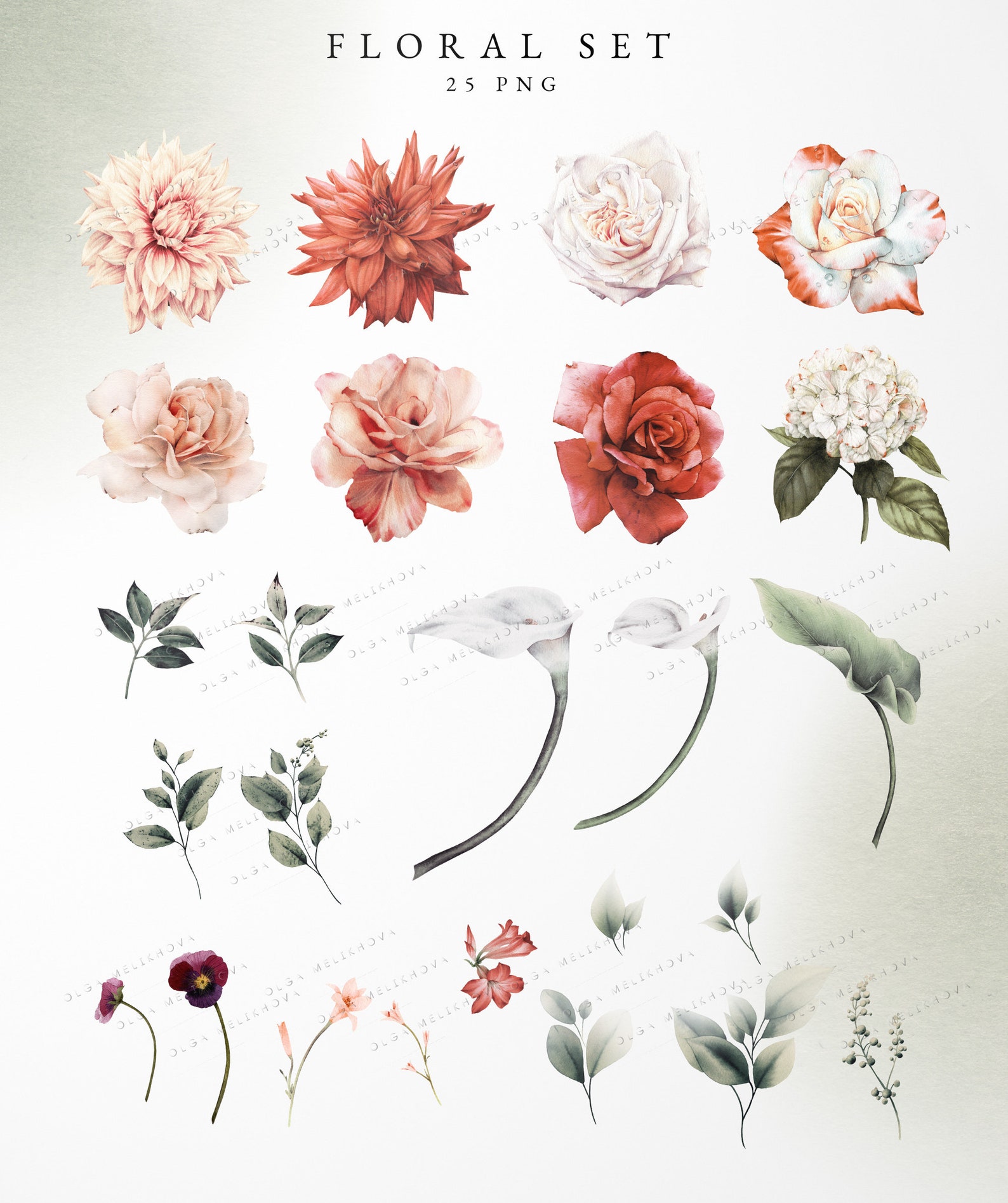 Watercolor Flower Set Floral Elements Clip Art PNG - Etsy