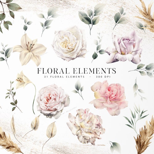 Watercolor Flowers Clipart Roses Clipart Png Floral Set - Etsy