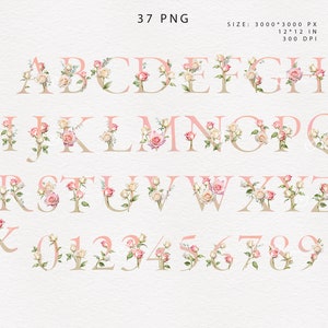 Letters and Numbers, Floral Alphabet, Pink Roses Alphabet Wedding ...