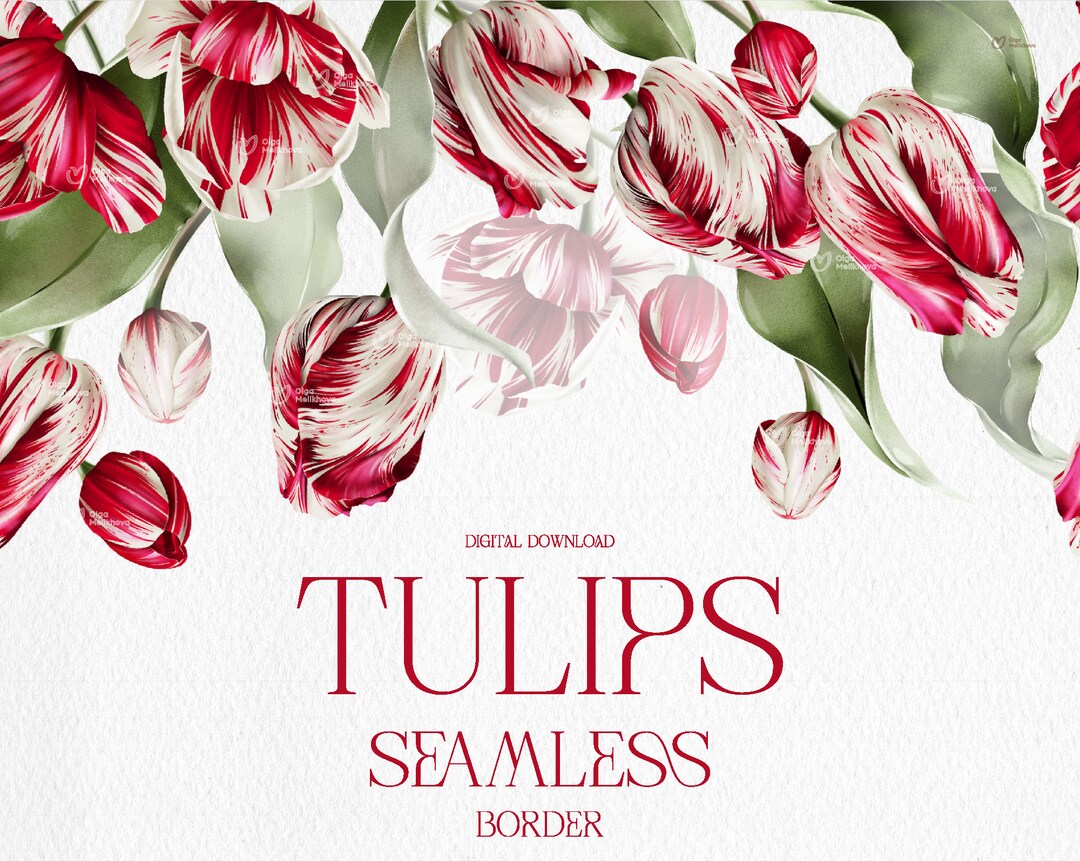 Tulips, Floral Seamless Border, Floral Frame, Wedding Invite Card, Red ...