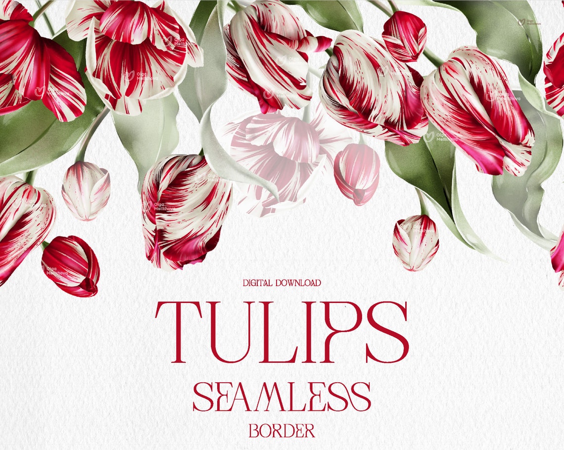 Tulips Floral Seamless Border Floral Frame Wedding Invite - Etsy