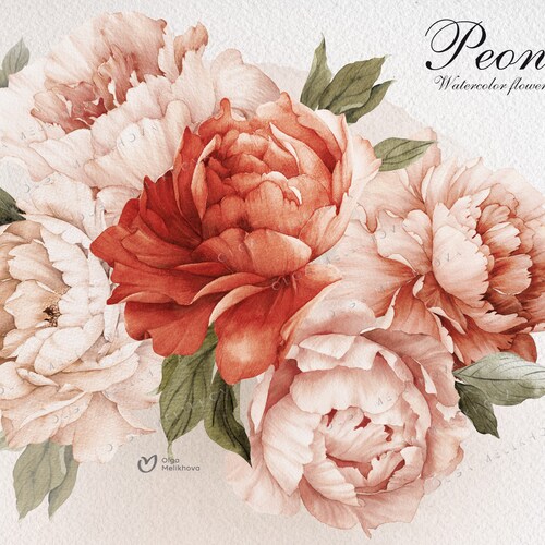 Watercolor Flower Clipart Peonies Vintage Clip Art Hand | Etsy