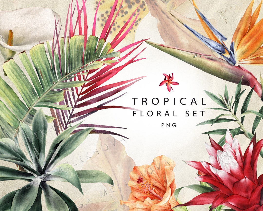 Tropical Flowers | Watercolor Flower Clipart | Individual PNG | Digital ...