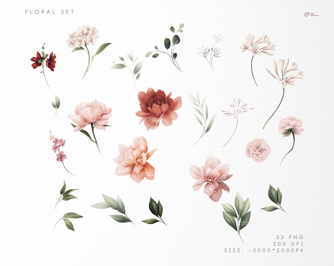 Flower Set Floral Frames and Border Digital Floral Clipart | Etsy