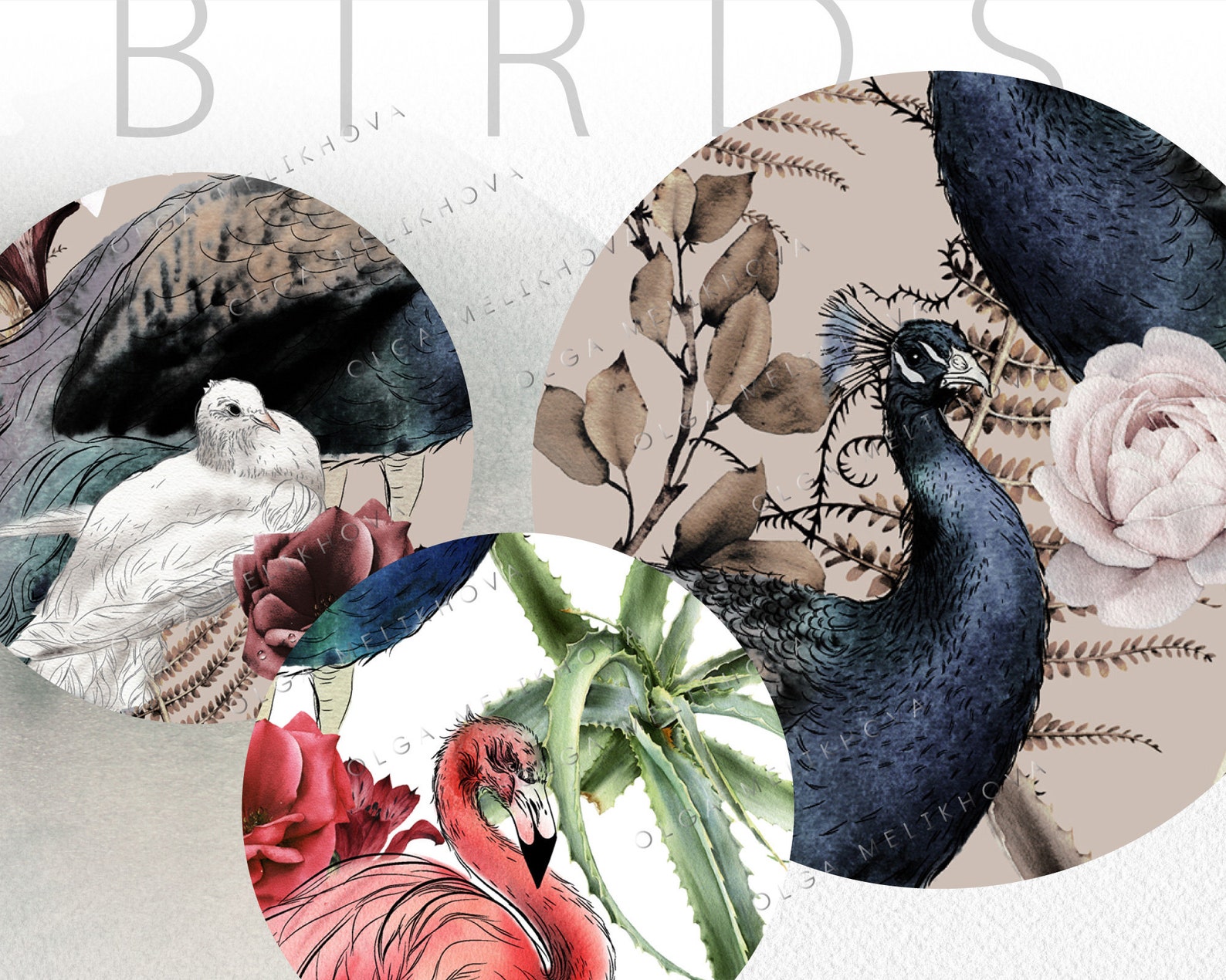 Seamless Floral Patterns With Birds Digital Paper Clipart - Etsy