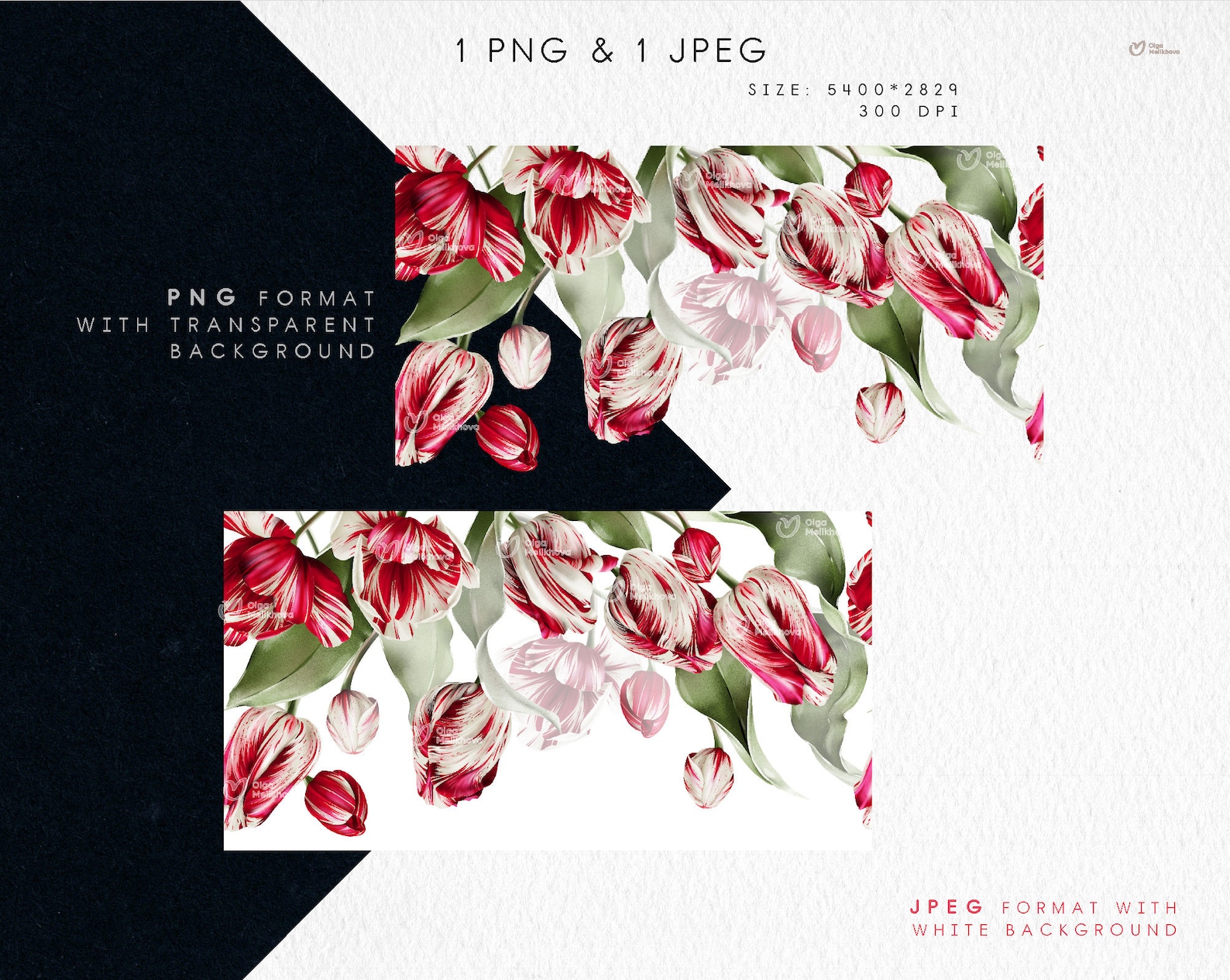 Tulips Floral Seamless Border Floral Frame Wedding Invite - Etsy