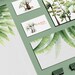 Tropical Trees Collection, Digital Tropical Paper, Tropical Ephemera ...