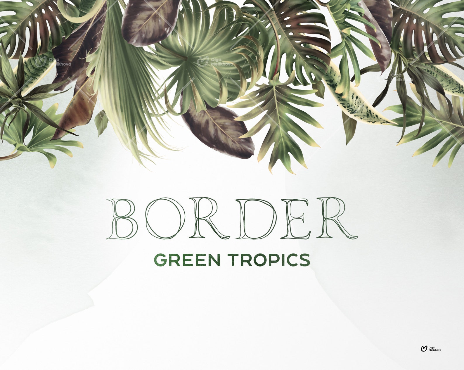 Tropical Border Greenery Foliage Border Green Leaves - Etsy