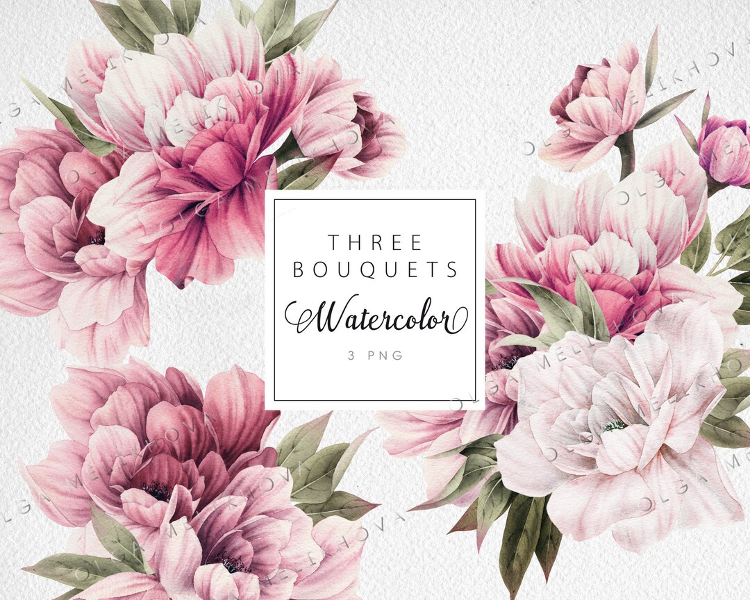 Peony Bouquets, Watercolor Flower Cliparts PNG, Watercolor Pink Peonies ...