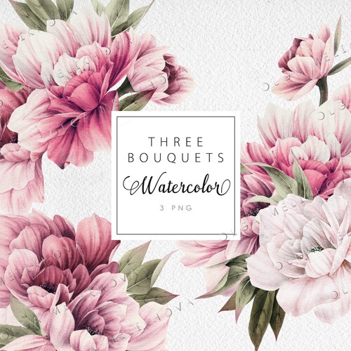 Peony Bouquets Watercolor Flower Cliparts PNG Watercolor | Etsy