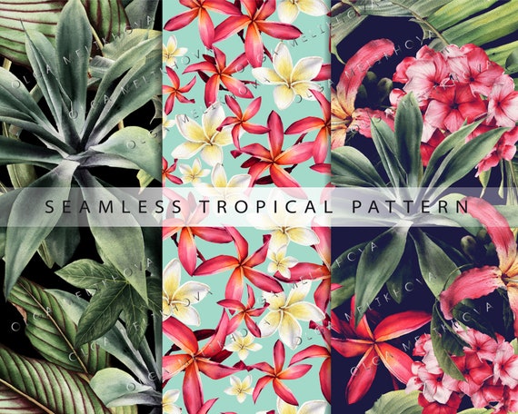 Tropical seamless patterns digital download patterns | Etsy