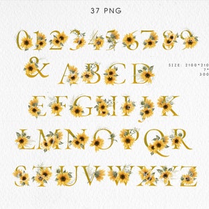 Letters and Numbers, Sunflower Alphabet, Floral Alphabet, Pink Alphabet ...