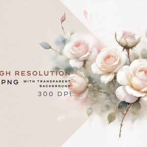 White Roses Floral Clipart, Floral Bundle, Borders, Wedding Invite Card ...