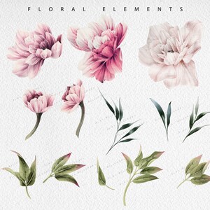 Watercolor Pink Peonies, Bouquet, Bright Floral Watercolour Digital ...