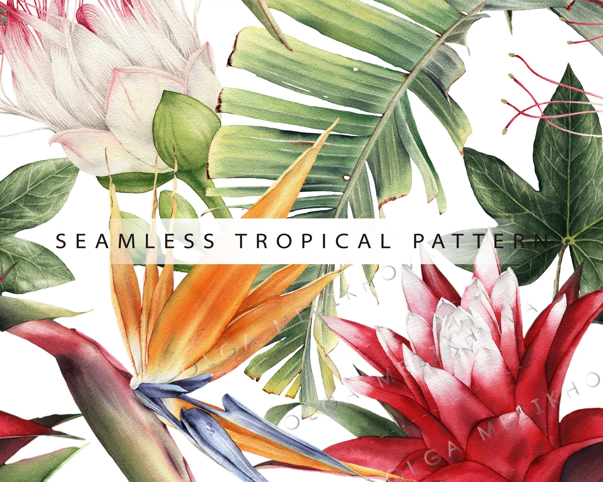 Seamless Tropical Pattern Watercolor Tropical Digital Paper - Etsy