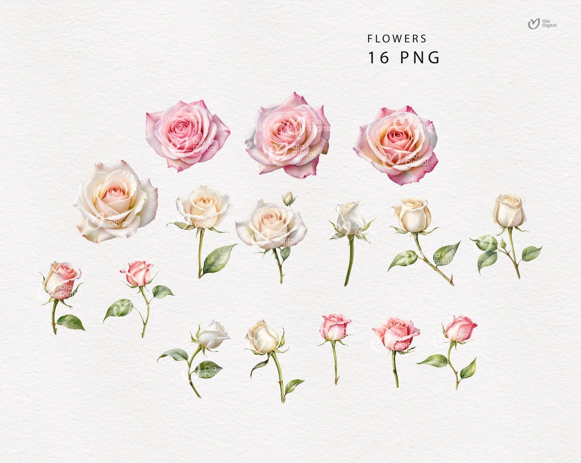 Watercolor Roses Bundle, Border-frames, Wedding Invite Card, Bouquets ...