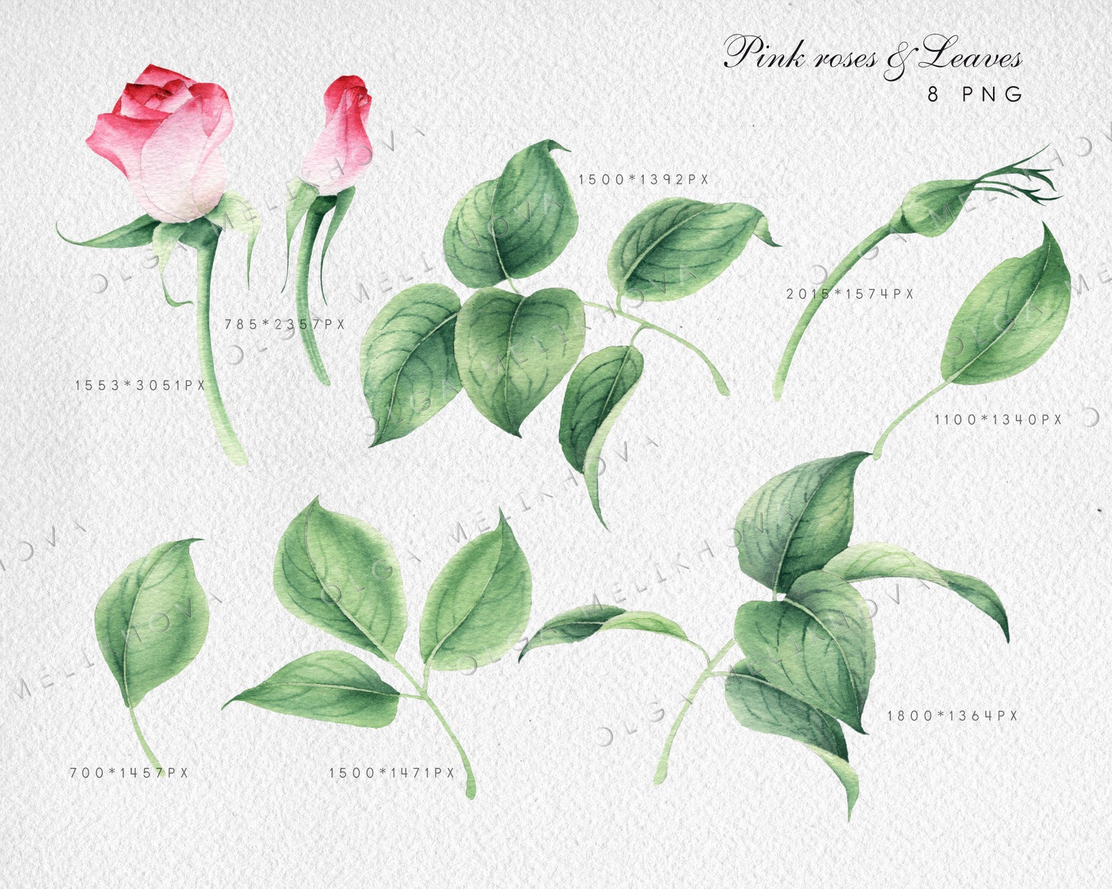 Pink Roses Watercolor Floral Clipart PNG Roses Bouquet - Etsy