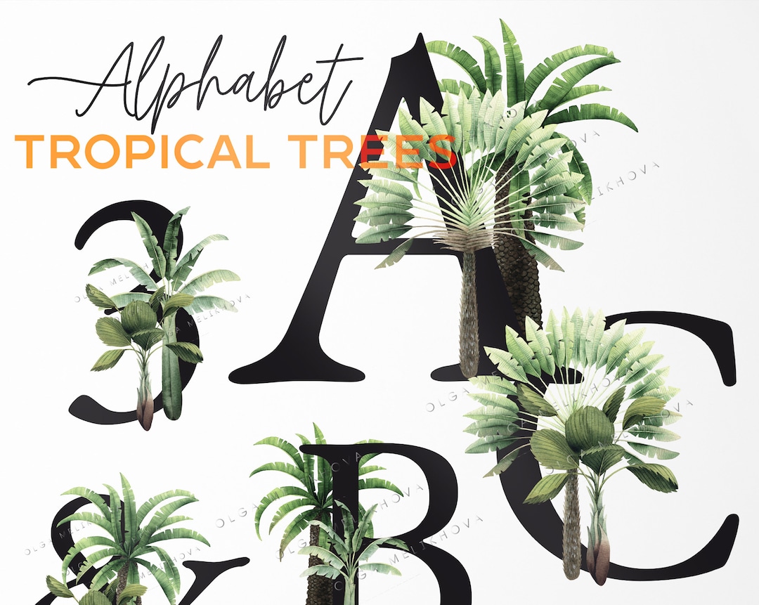 Letters and Numbers, Alphabet With Tropical Trees, Can Be Used for ...