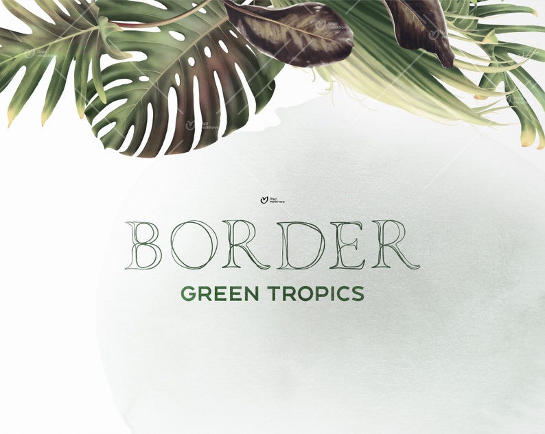 Tropical Border Exotic Foliage Border Tropical Leaves | Etsy