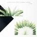 Tropical Trees Collection, Digital Tropical Paper, Tropical Ephemera ...