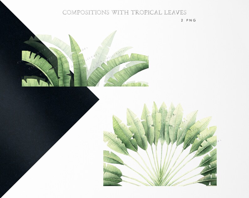 Tropical Trees Collection Digital Tropical Paper Tropical | Etsy