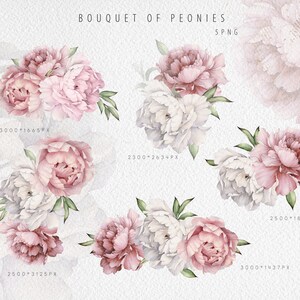 Peony Collection. Seamless Floral Pattern With Peonies. Digital Paper ...