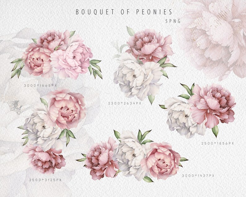 Peony Collection. Seamless Floral Pattern With Peonies. Digital Paper ...