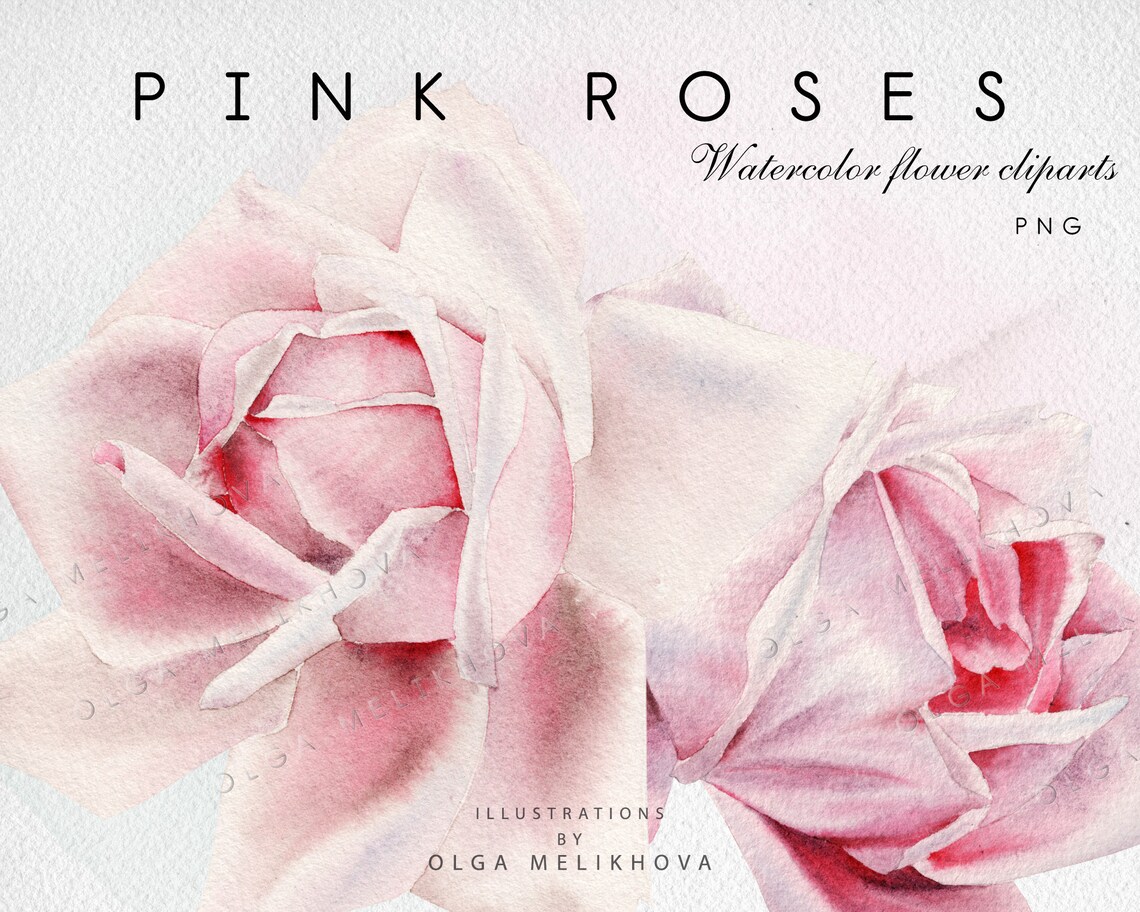 Pink Roses Watercolor Floral Clipart PNG Roses Bouquet - Etsy