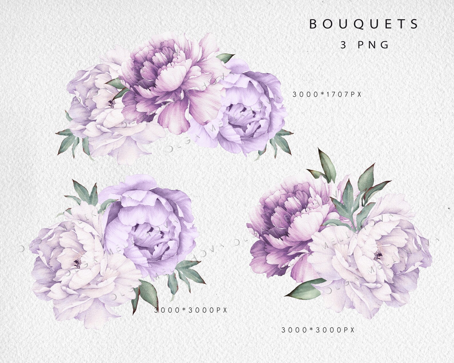 Watercolor Peonies Clipart Png Digital Flowers Instant - Etsy Canada
